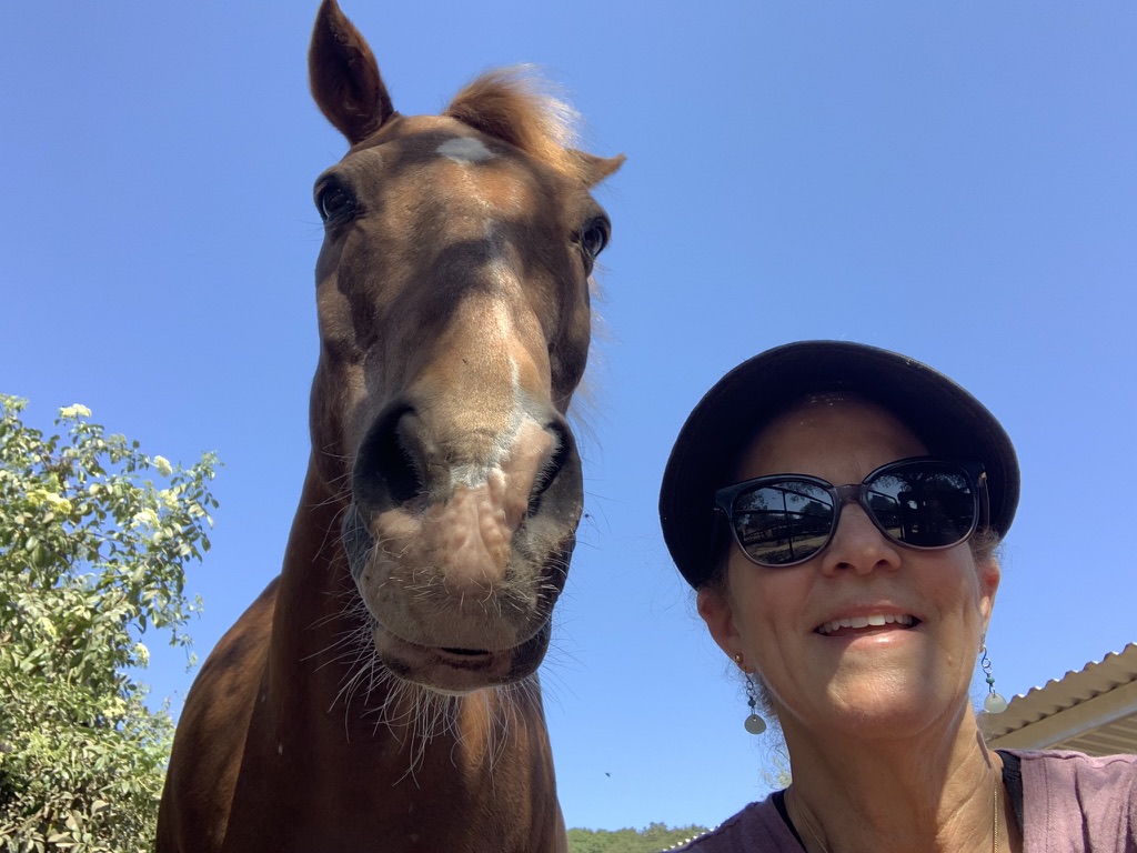 Recent Projects – Mira Lisa Katz